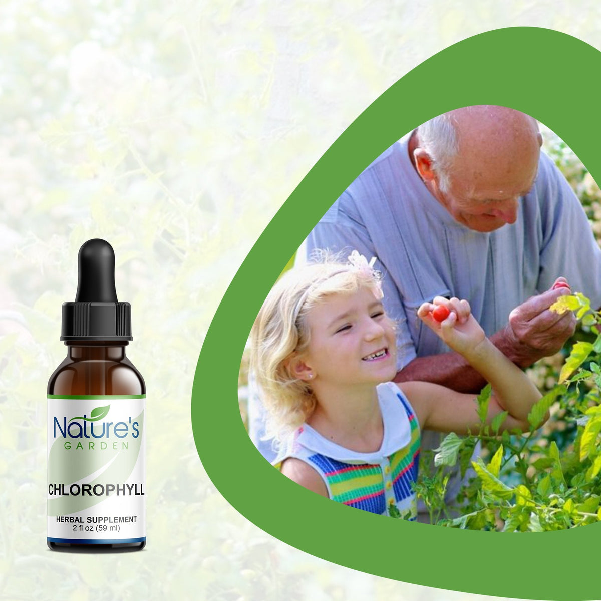 CHLOROPHYLL (Alcohol Free) - 2 oz Liquid Herbal Formula